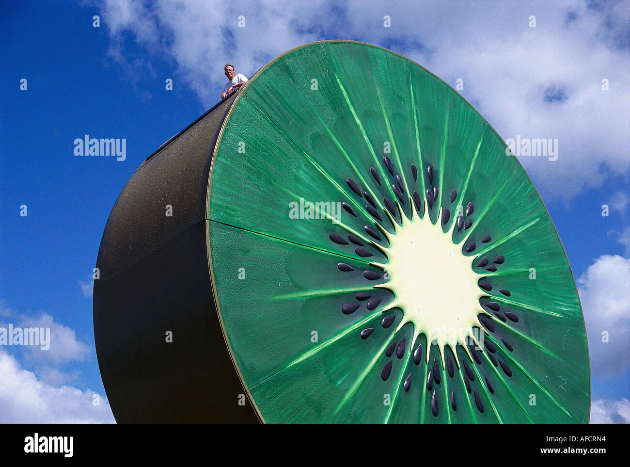 Te puke hi-res stock photography and images - Alamy