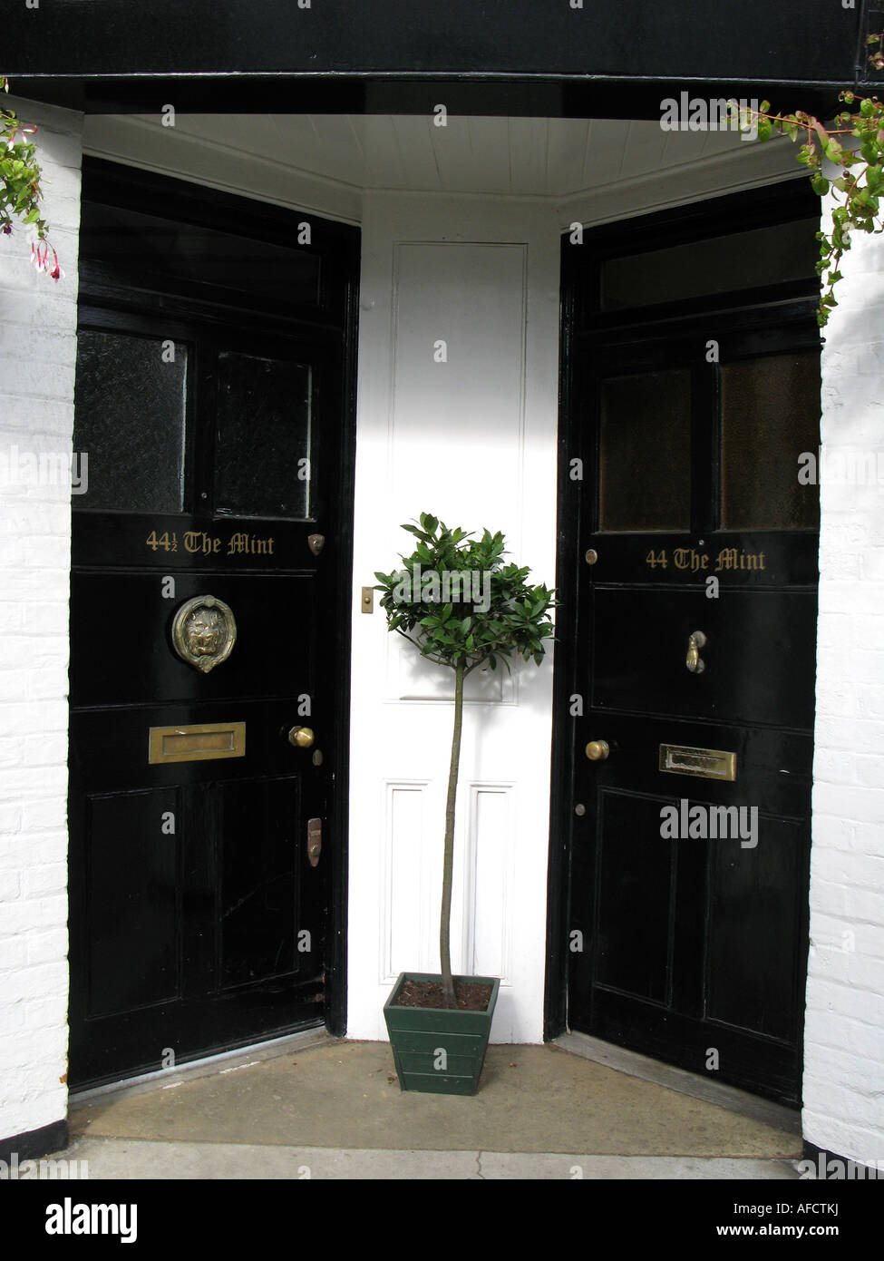 Two black front doors numbered 44 and 44 and a half in Rye Stock Photo ...
