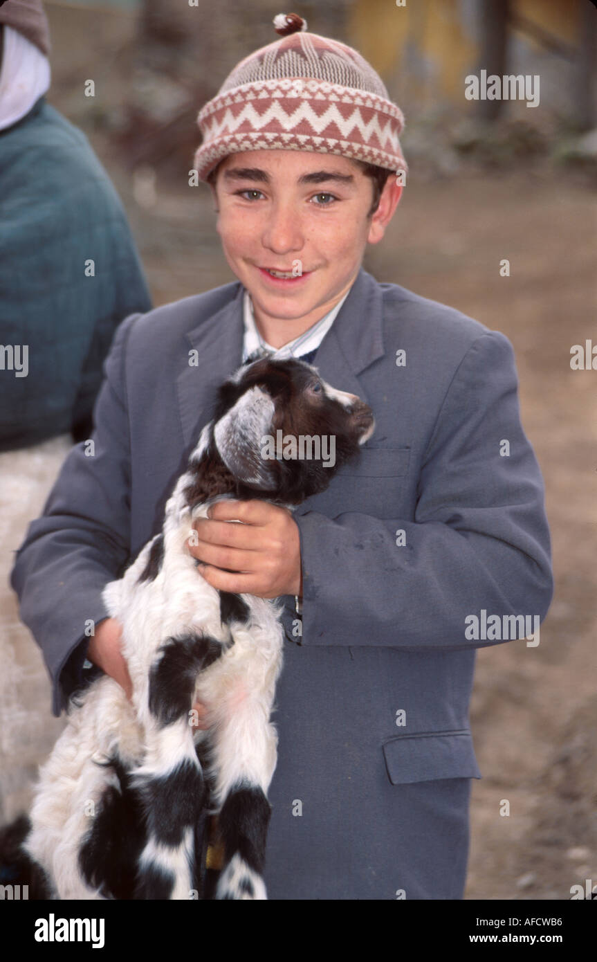 Turkish angora goat hi-res stock photography and images - Alamy