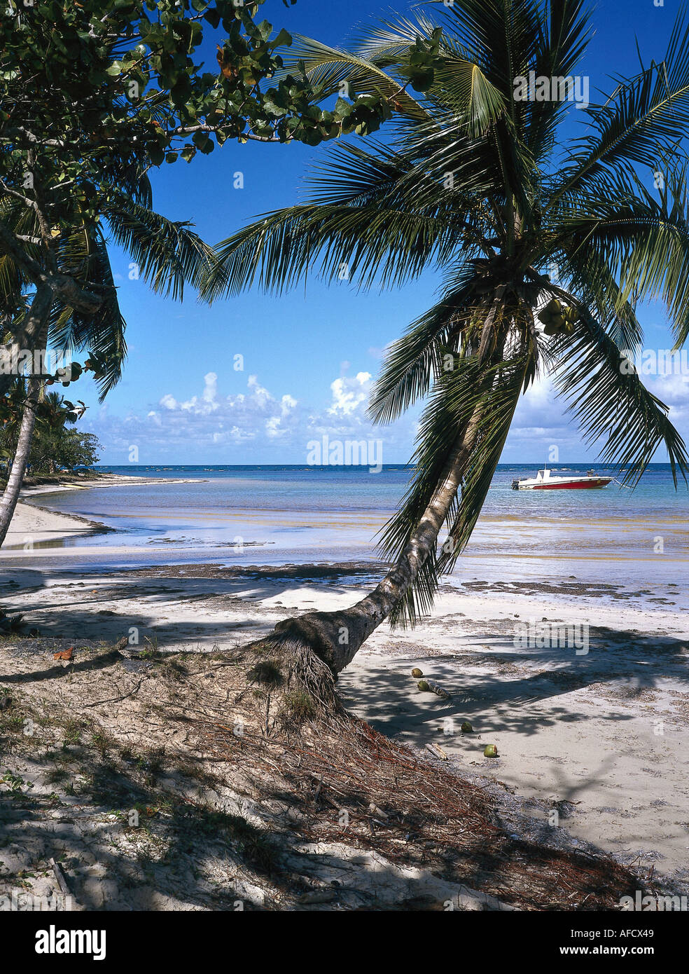 geography / travel, Dominican Republic, peninsula Samana, beach of El ...