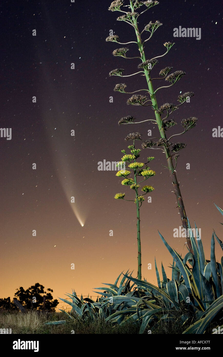 Mcnaught hi-res stock photography and images - Alamy