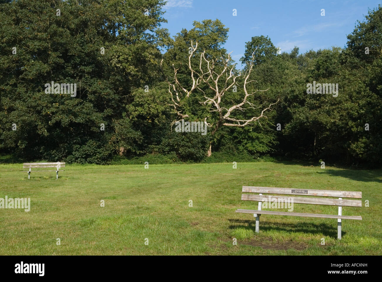 "putney heath" hi-res stock photography and images - Alamy