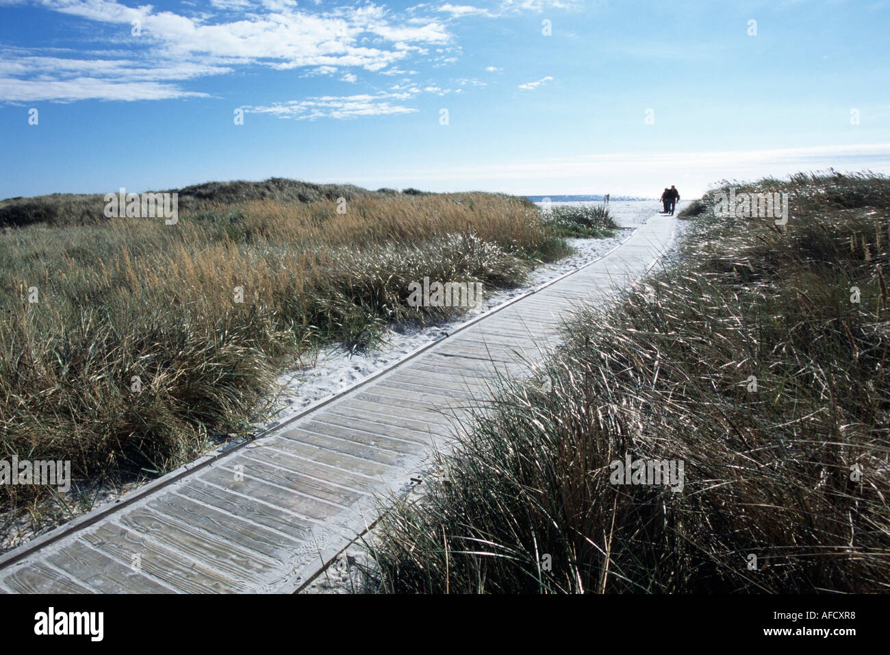 Dueodde Beach Boardwalk, Dueodde, Bornholm, Denmark Stock Photo - Alamy