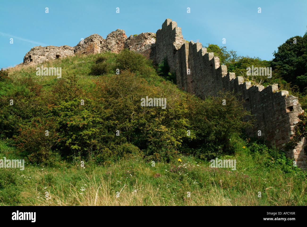 Immovable king hi-res stock photography and images - Alamy