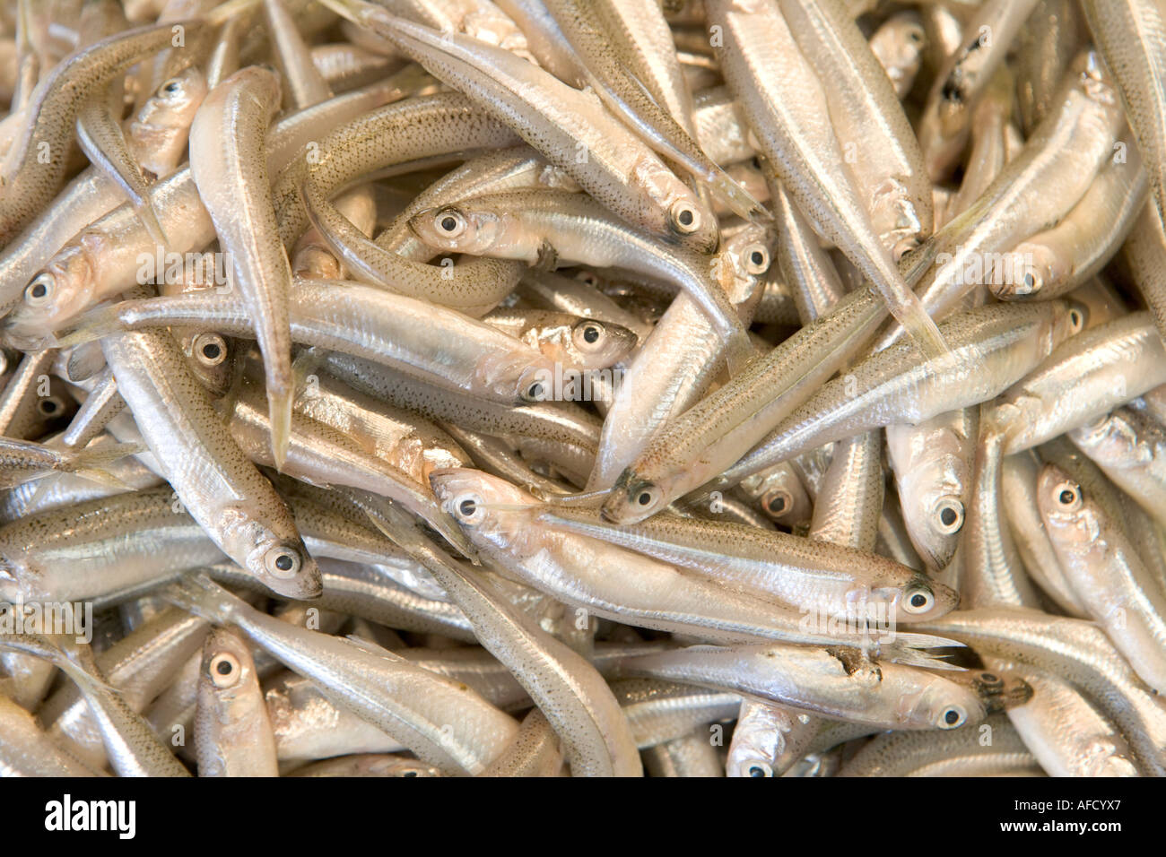 Athens piraeus fish hi-res stock photography and images - Alamy