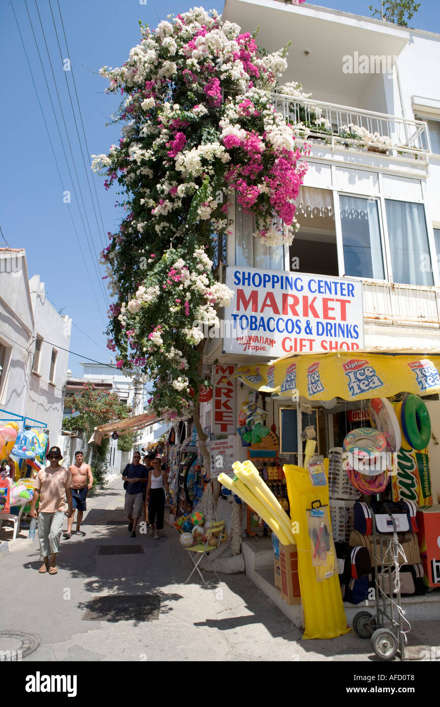 Bougainvillea bodrum hi-res stock photography and images - Alamy