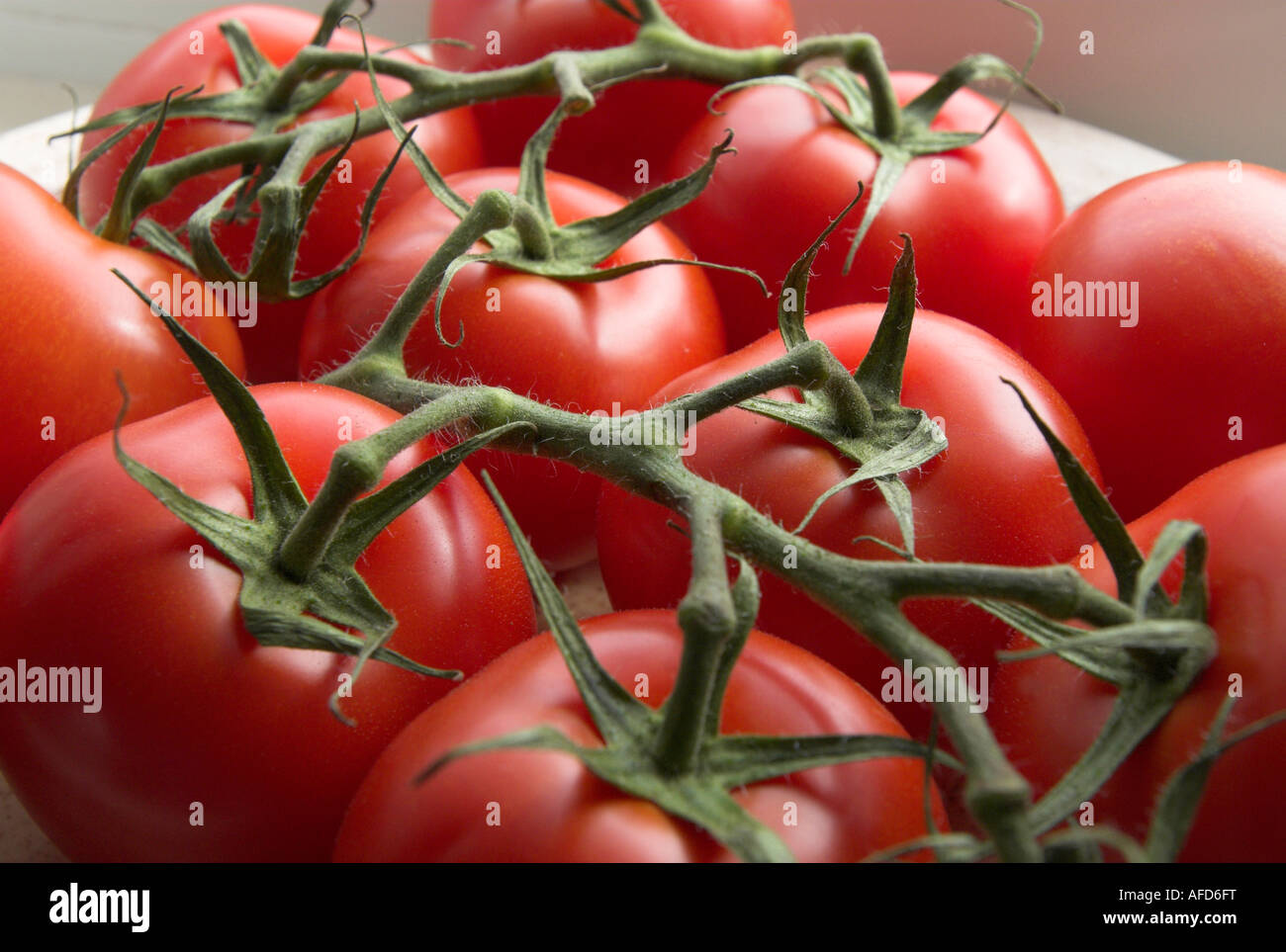 English vine tomatoes hi-res stock photography and images - Alamy