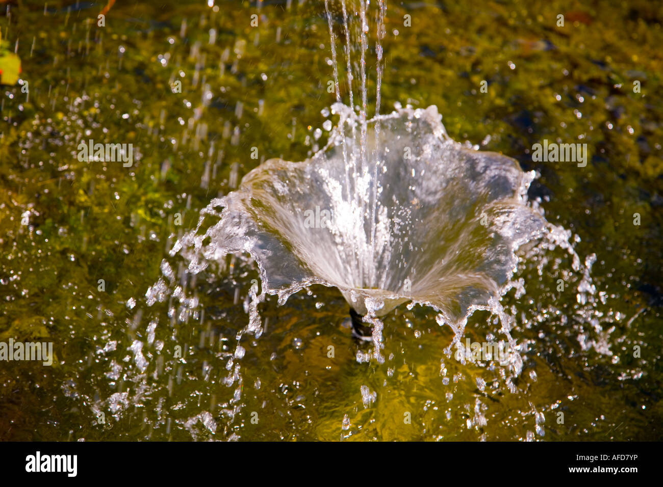 Water fountain lace pattern Stock Photo - Alamy