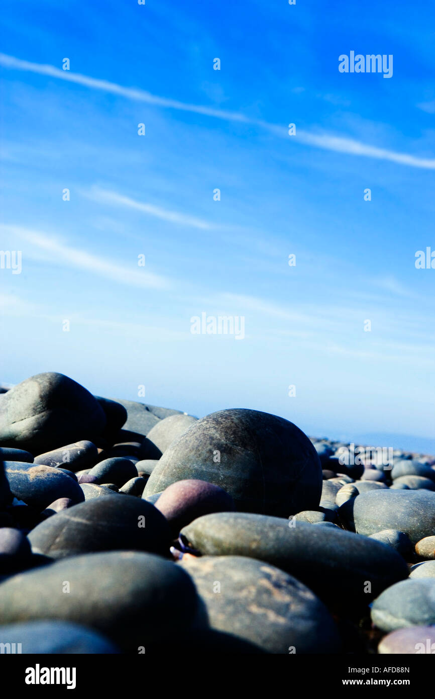 Stone on a beach in Devon South West England Stock Photo - Alamy