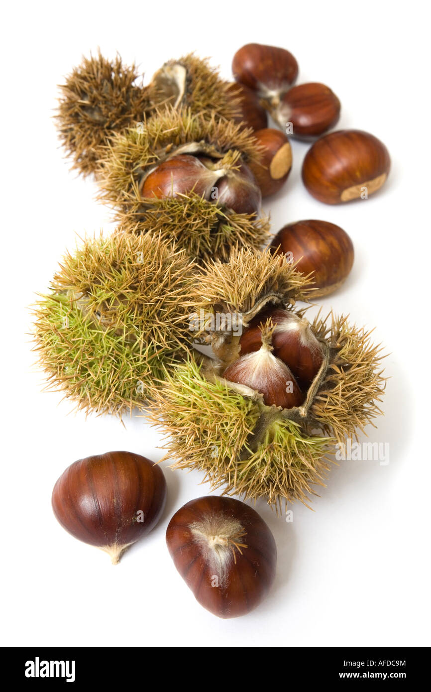 Sweet chestnuts isolated on a white background Stock Photo - Alamy