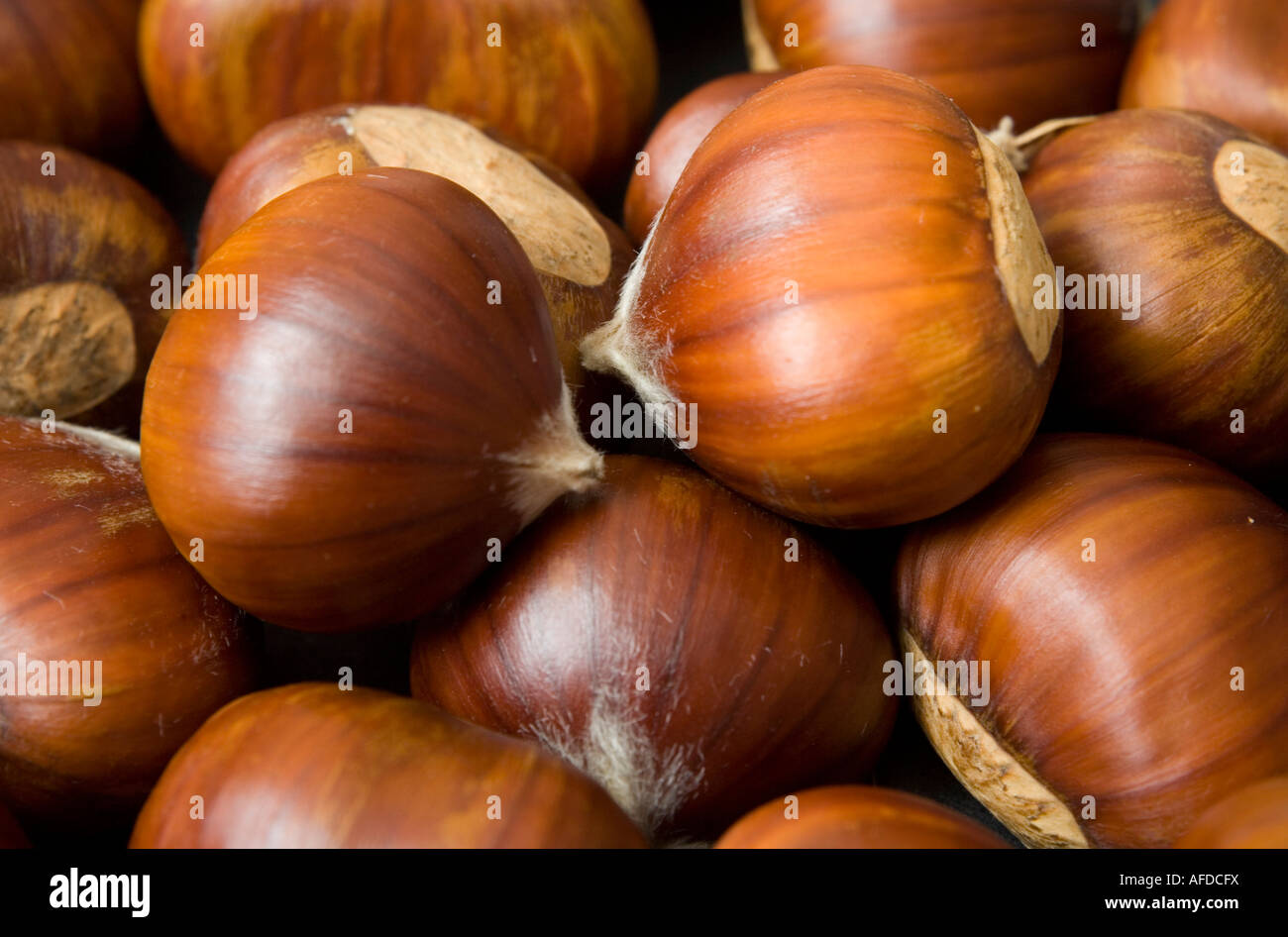 Lots of chestnuts hi-res stock photography and images - Alamy