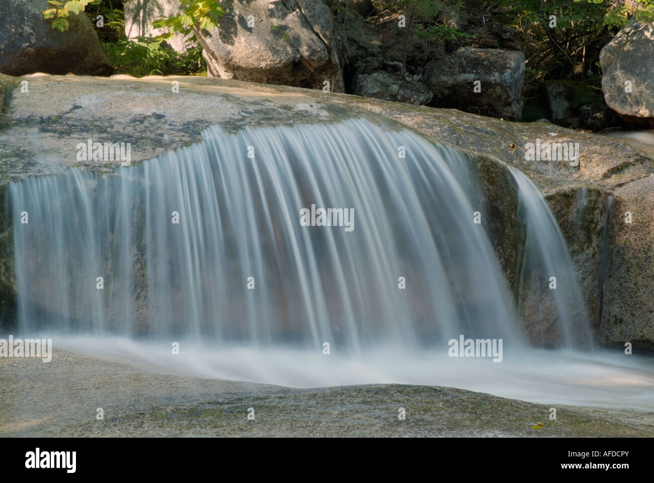 Swift River along the side of Sawyer River Trail. This river is near ...