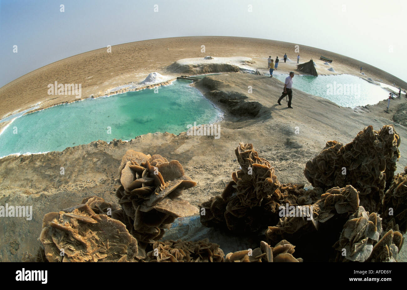 Tunisia Tozeur, Sahara Deser,t Salt water and tourists at lake called ...