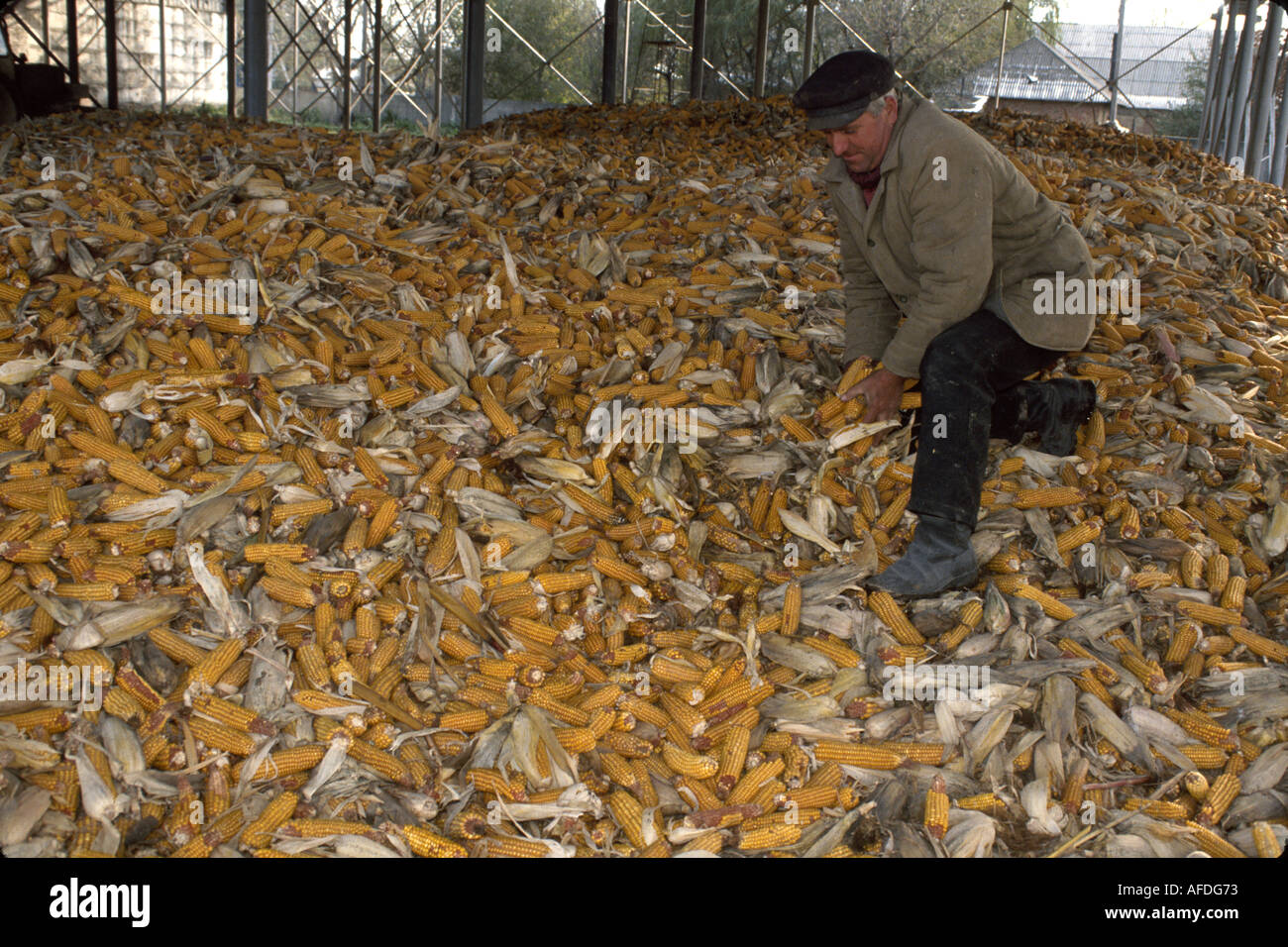 Soviet collective farm hi-res stock photography and images - Alamy