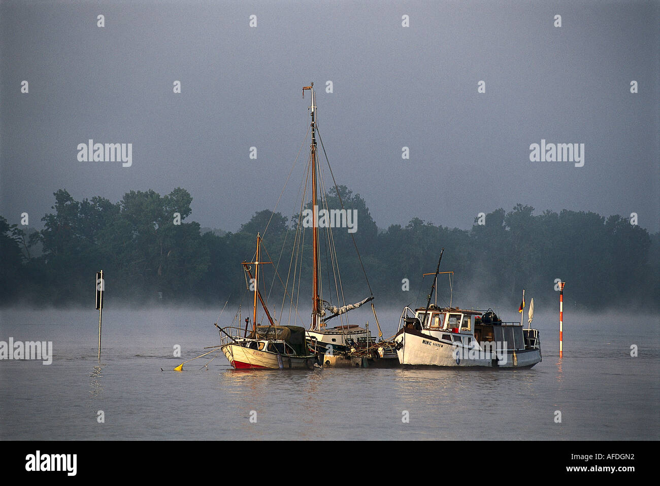 View over Eltviller Aue, Rhine Island Rheingau, Hesse, Germany Stock ...