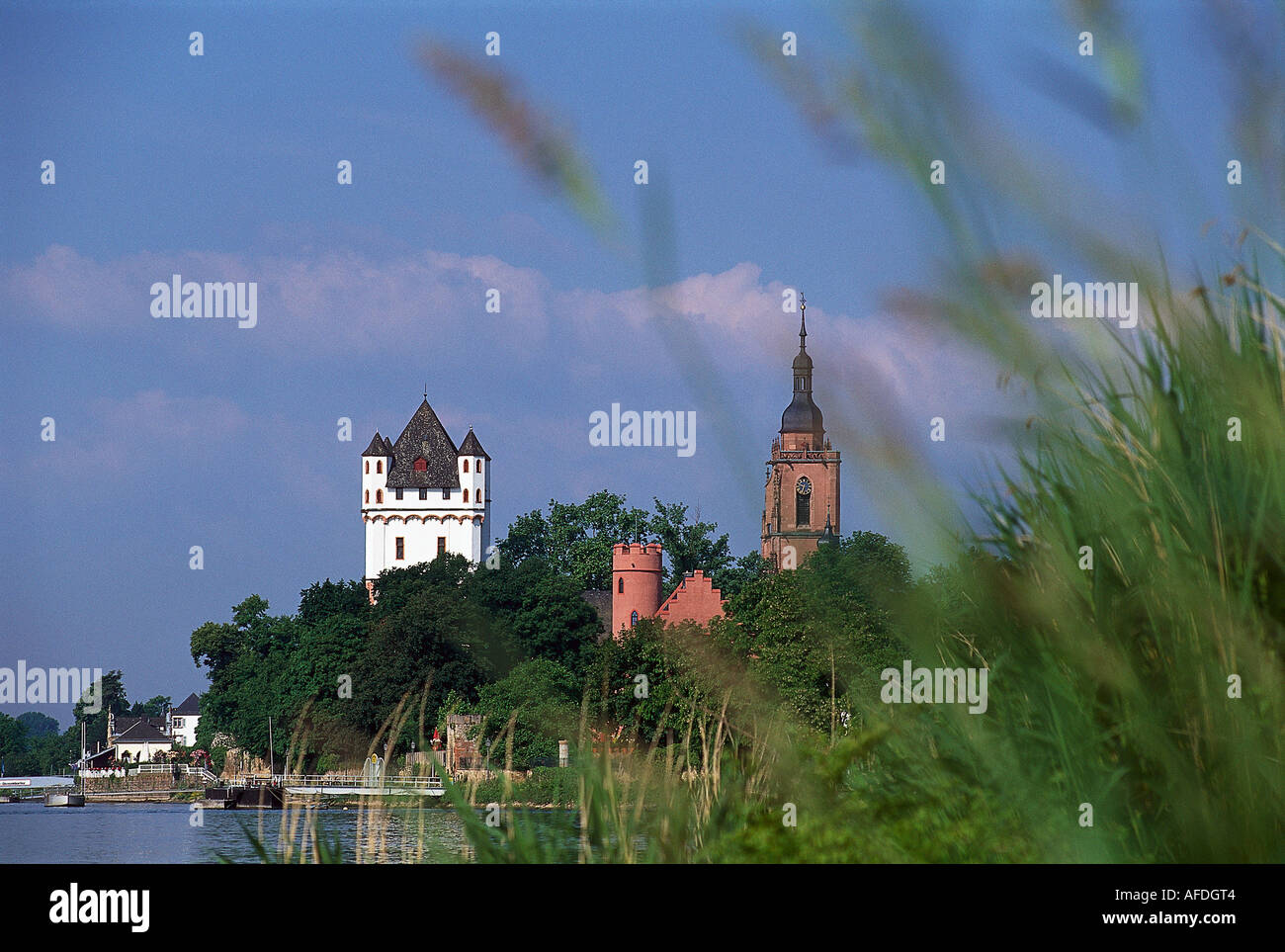 Grass Castle and Elector Castle, St. Peter and Paul, Eltville Rheingau ...
