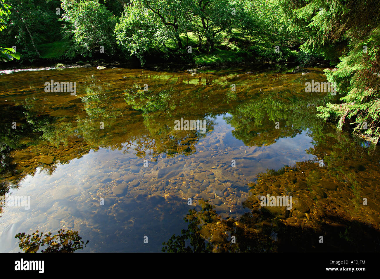 Quiet summers day along the River Lochay with reflections of trees ...