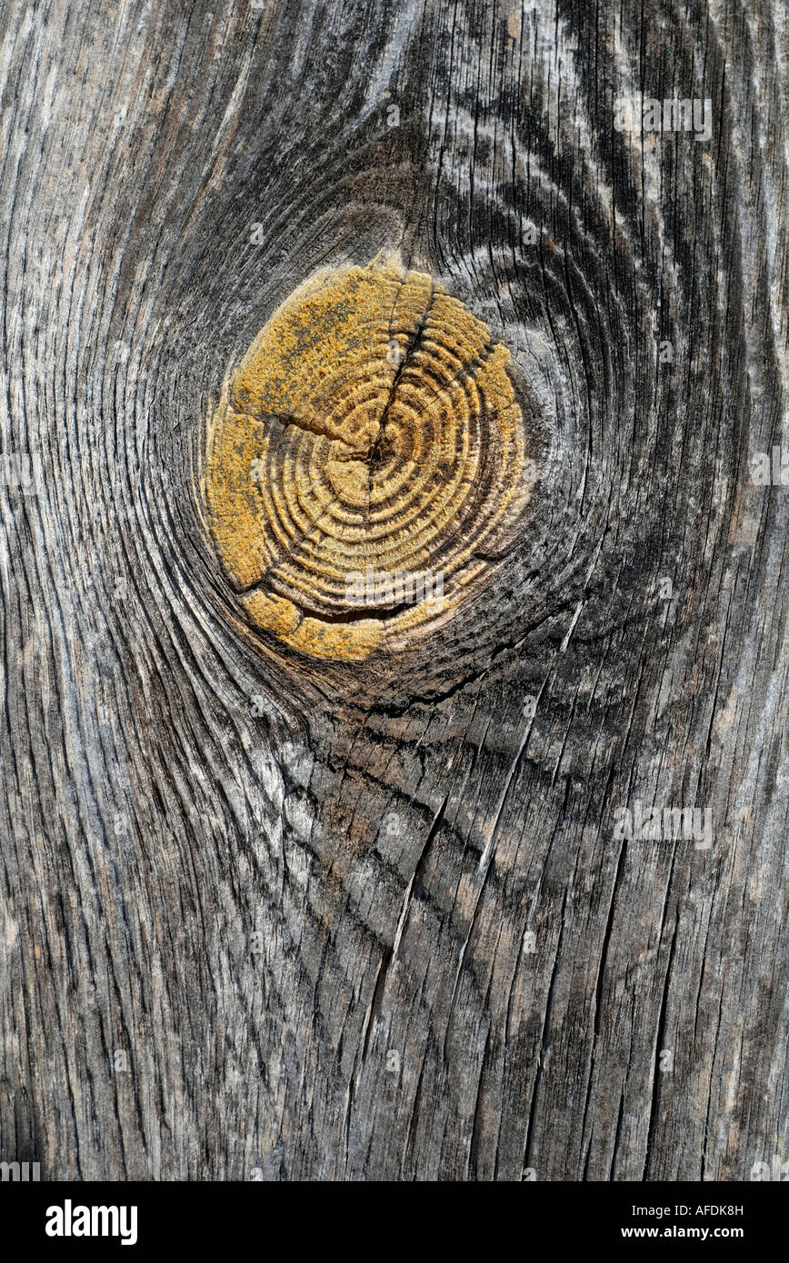 Rough Wood Knot High Resolution Stock Photography and Images - Alamy