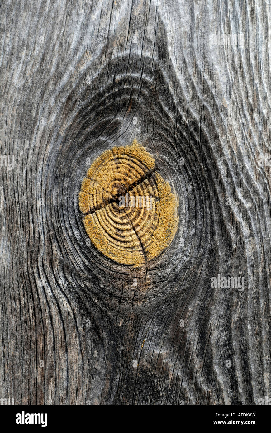 Rough Wood Knot High Resolution Stock Photography and Images - Alamy