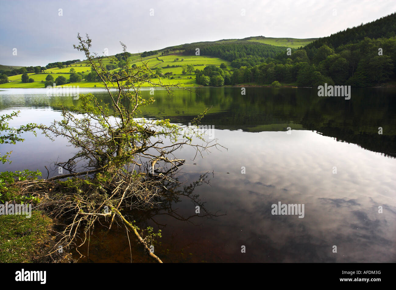 View of Ladybower Reservoir Stock Photo - Alamy
