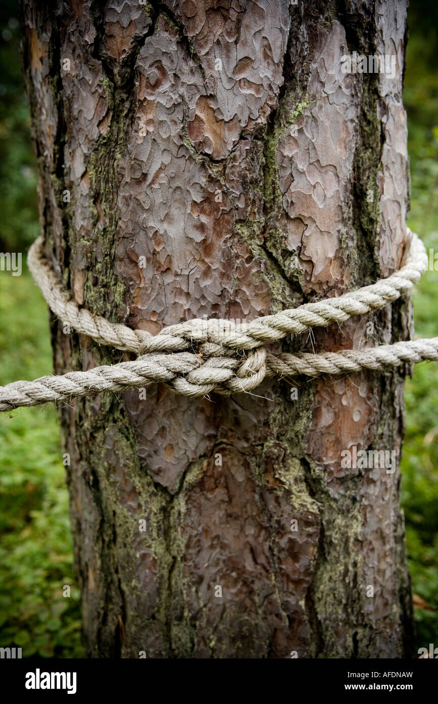 A rope tied around a tree Stock Photo - Alamy