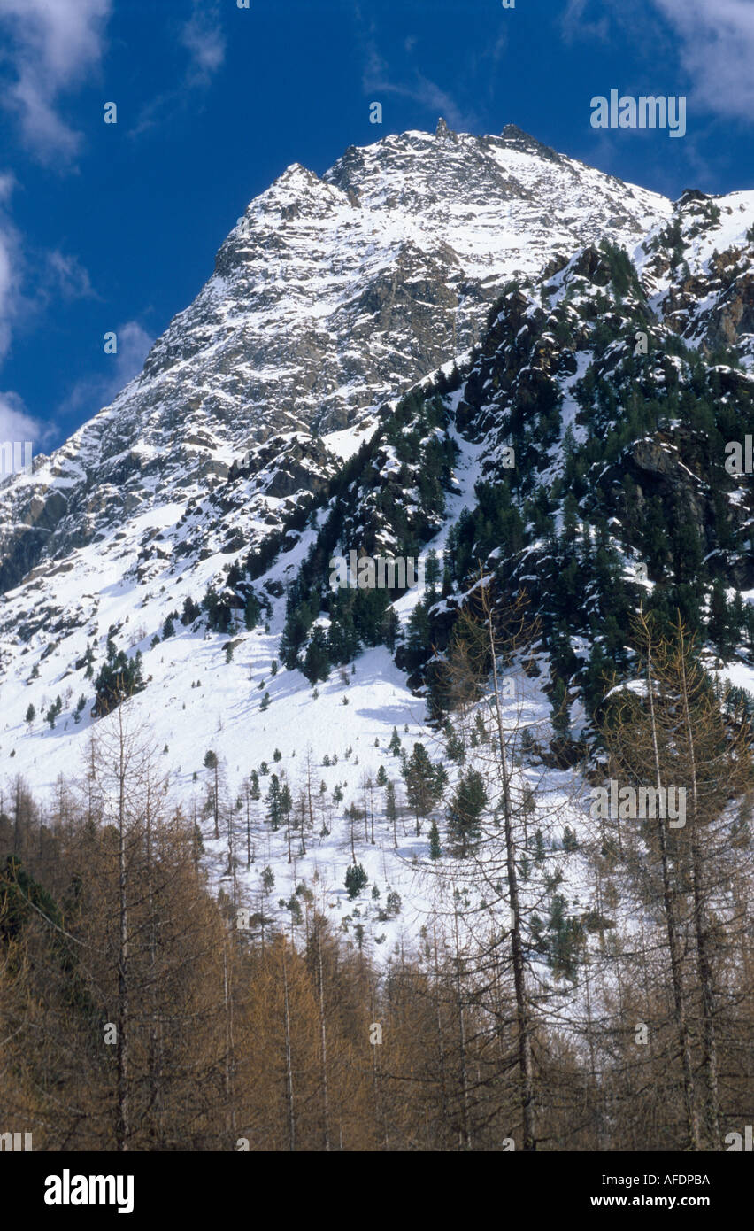 Solda (Sulden) Suldental Trentino Alto Adige Italy April 1999 Stock ...