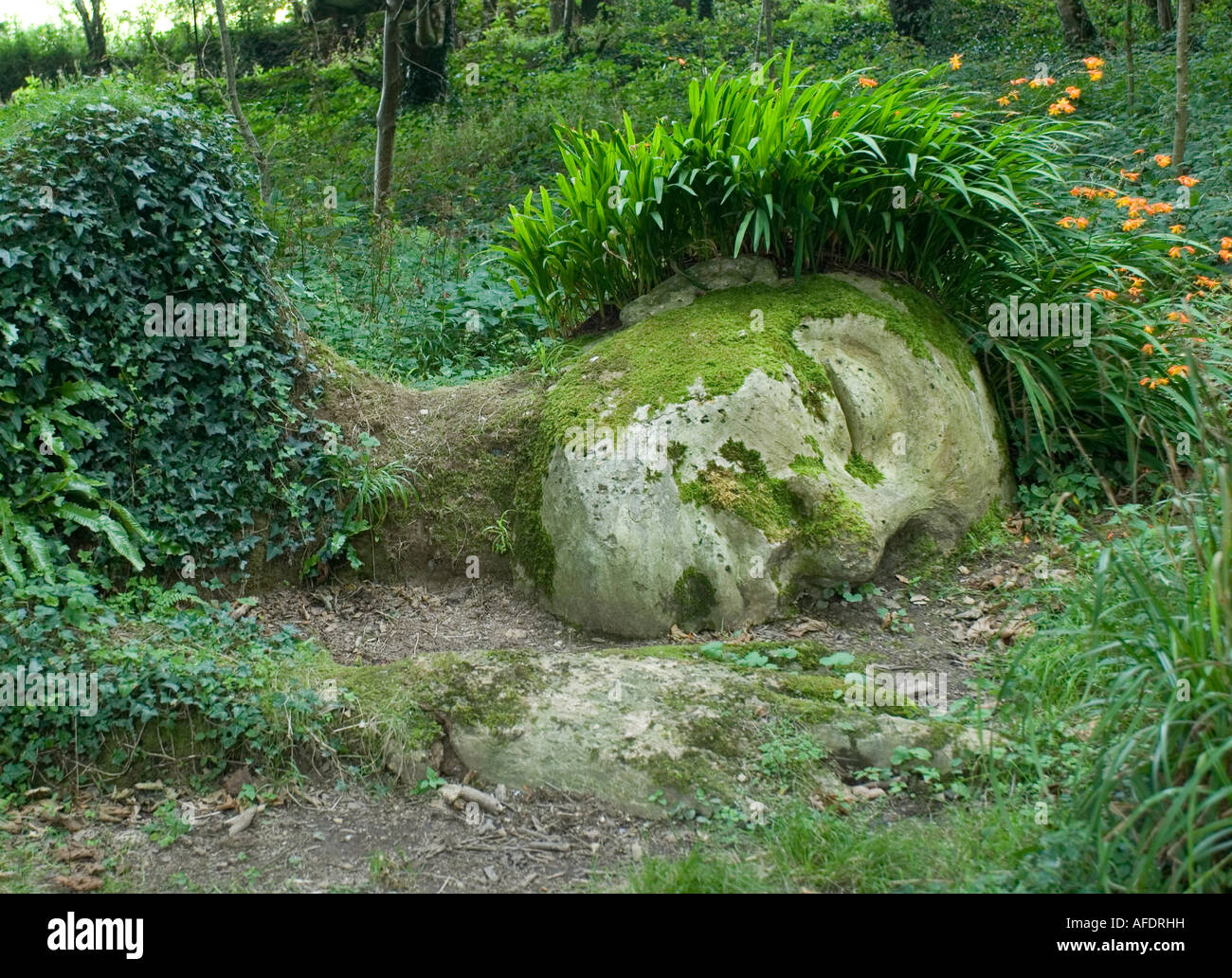 Giant head lost gardens heligan hi-res stock photography and images - Alamy