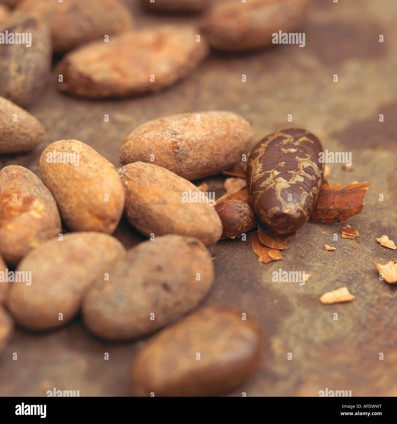 Roasted shot still stills stills studio hi-res stock photography and ...