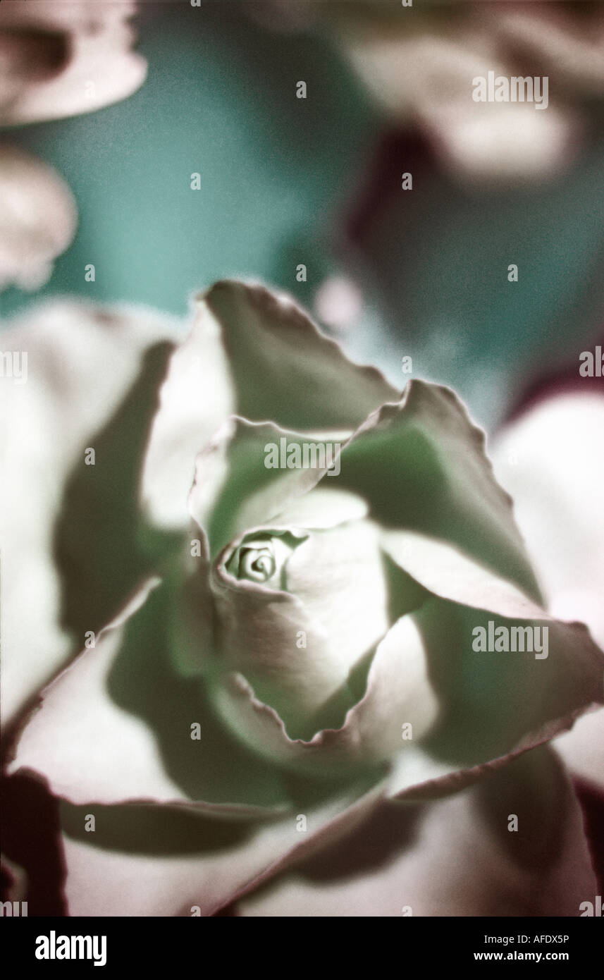 Fragile photos hi-res stock photography and images - Alamy