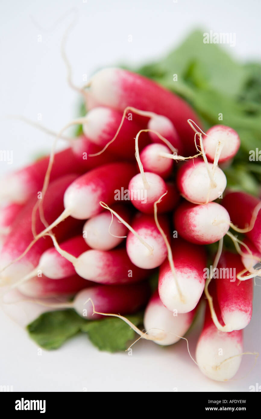 Bunch of raddish studio shot background hi-res stock photography and ...