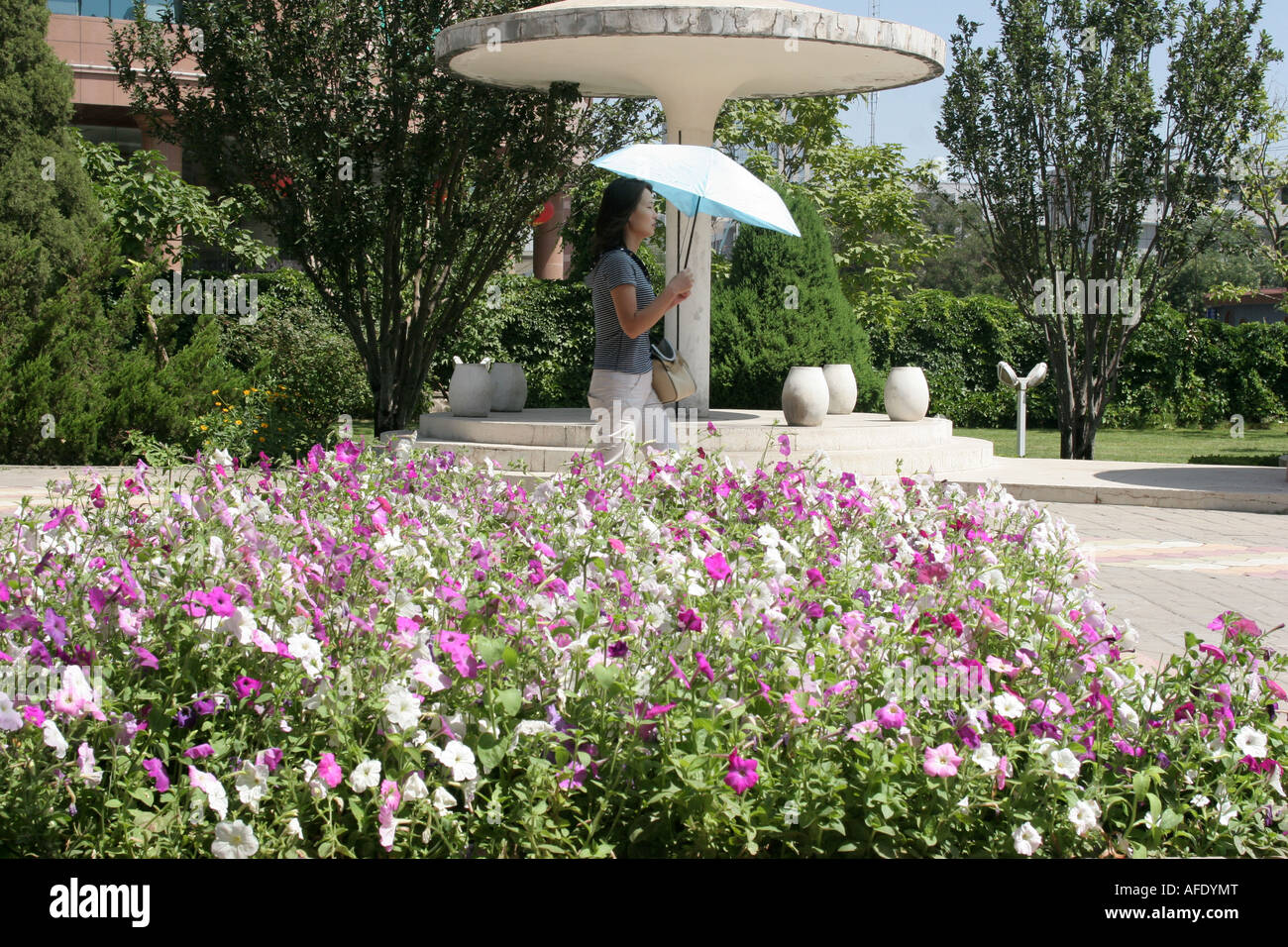 chinese woman with umbrella in the park yinchuan town Ningxia China ...