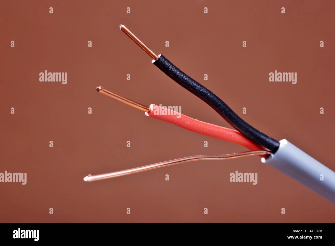 twin core and earth electrical cable wire Stock Photo - Alamy