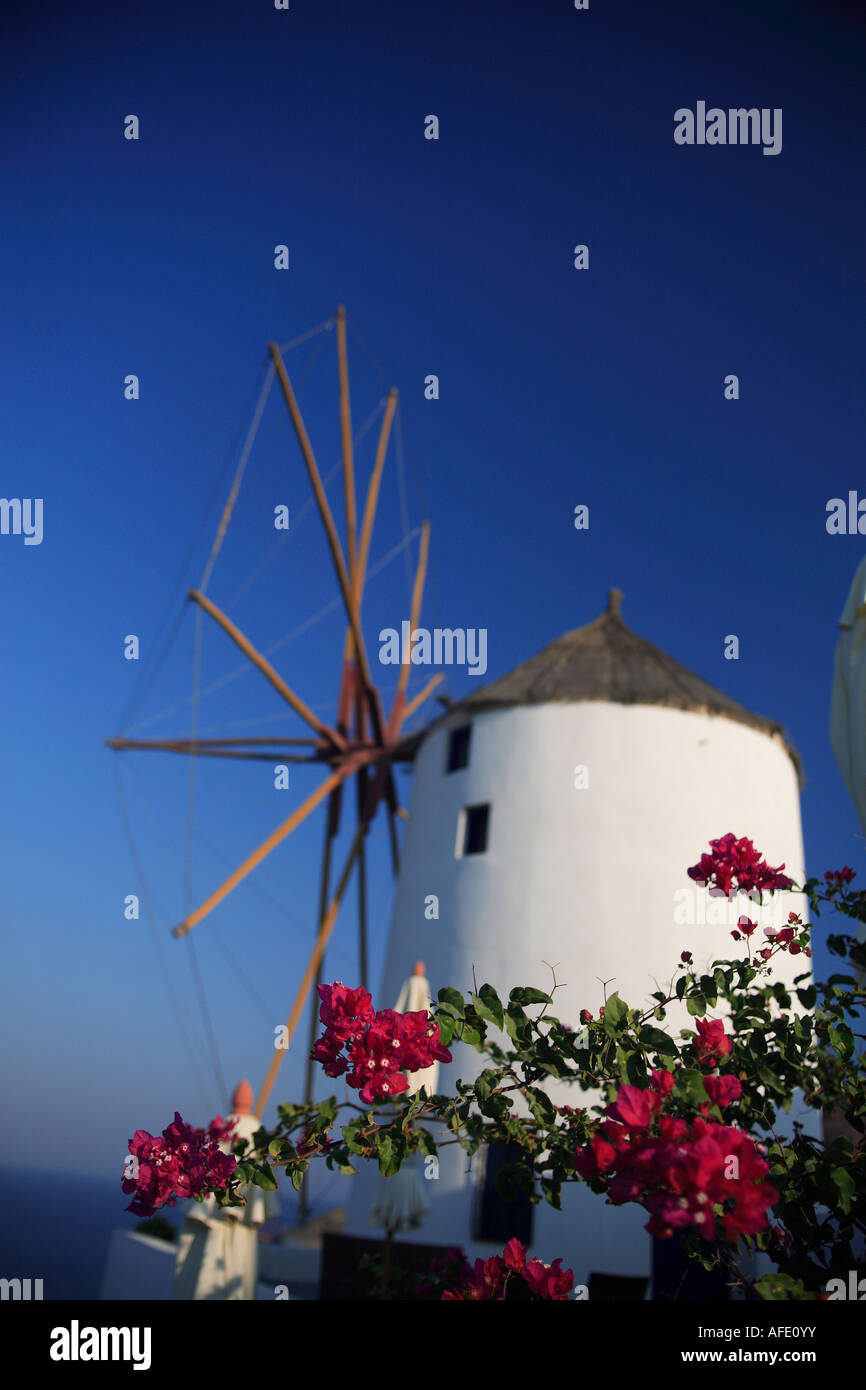 pretty greek windmill fronted by lush red flowers Stock Photo - Alamy