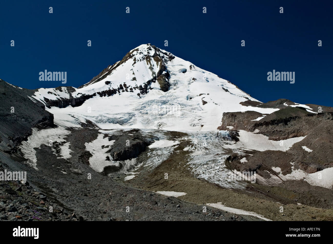 Mt hood summer adventure park hi-res stock photography and images - Alamy