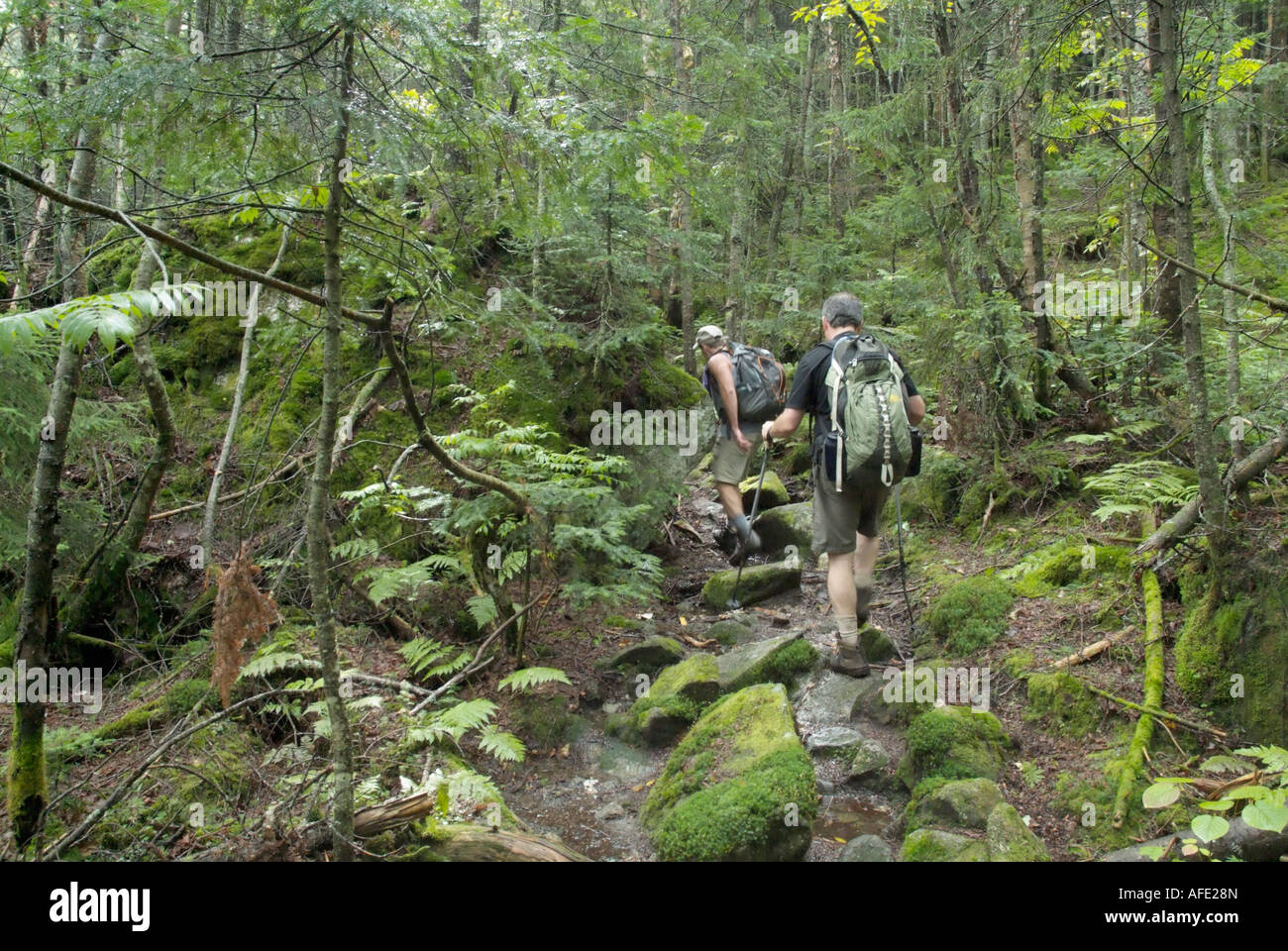 Appalachian Trail..Hikers heading south on Kinsman Ridge Trail in the ...