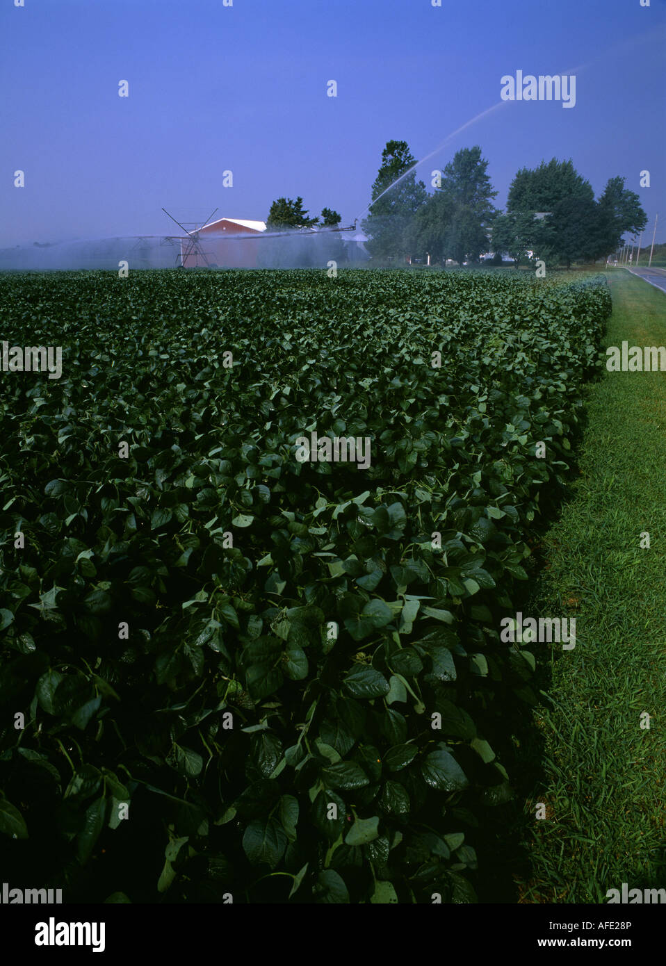 IRRIGATION OF SOYBEAN FIELD INDIANA Stock Photo - Alamy