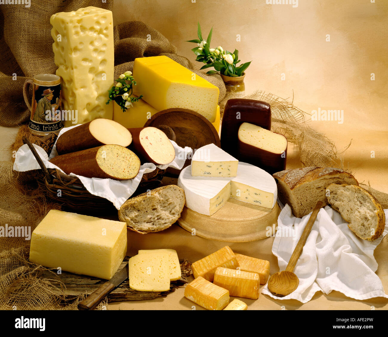 German Cheeses in group color photograph on tan toned mottled ...