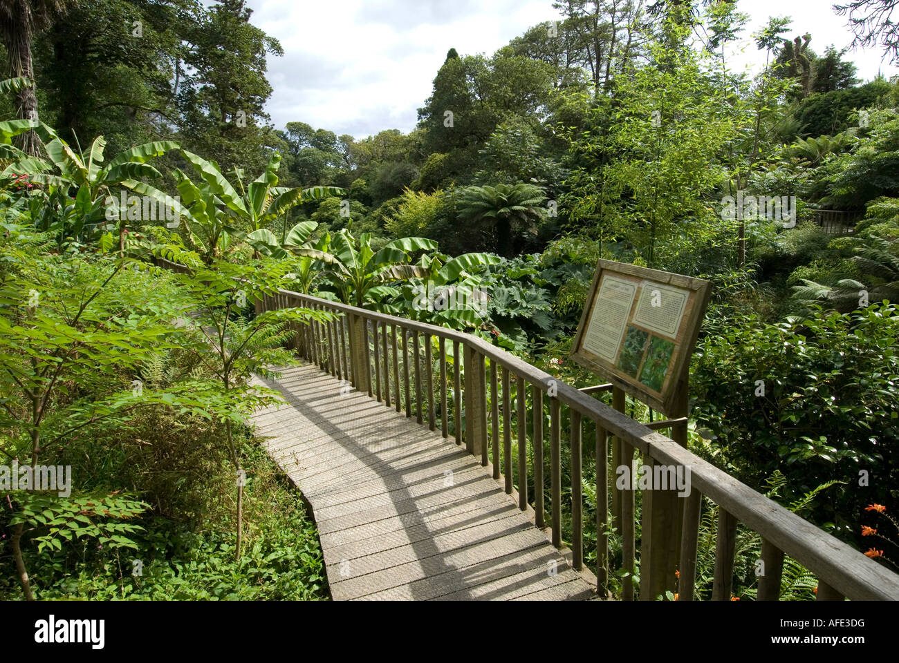 Cornwall Lost Gardens of Heligan England Stock Photo - Alamy