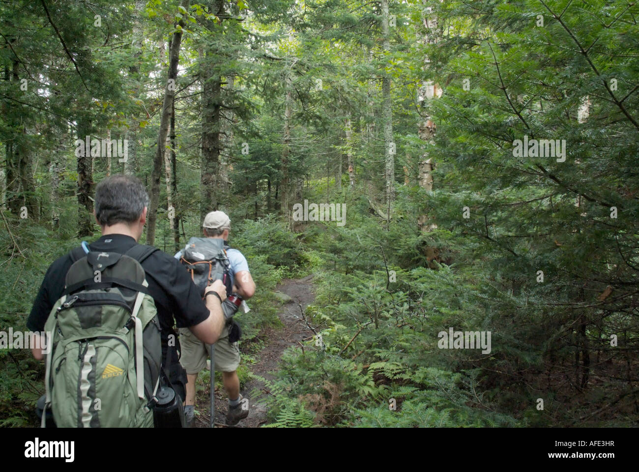 Appalachian Trail-- Hikers heading south on Kinsman Ridge Trail in the ...