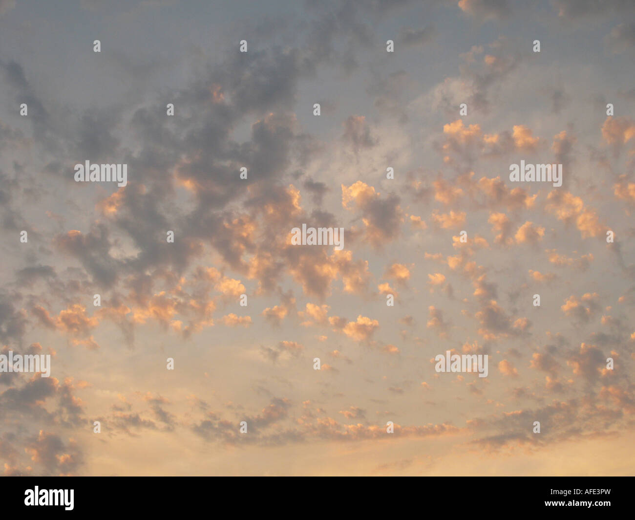 Altocumulus clouds at sunset Stock Photo - Alamy