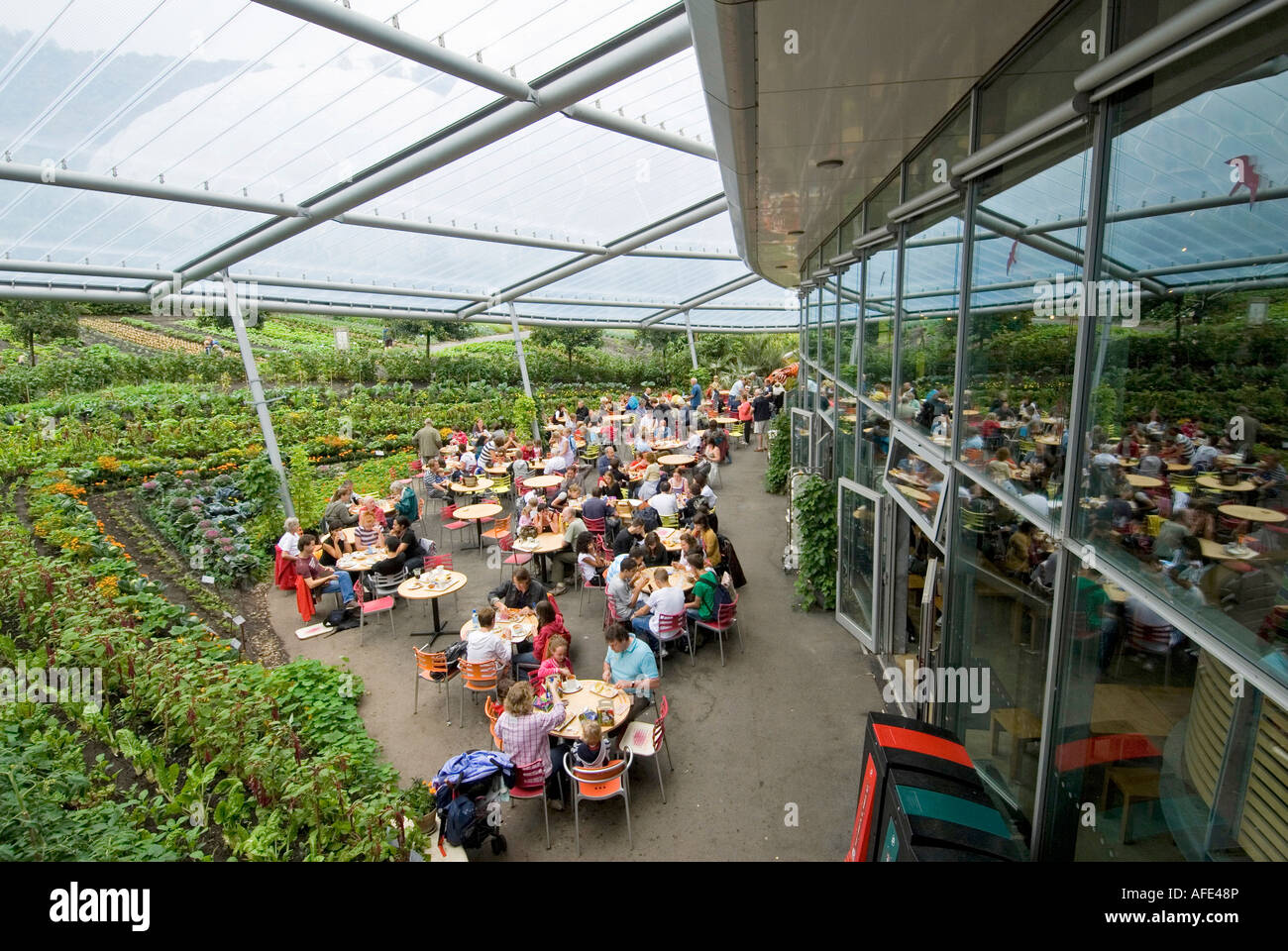 Eden project cafe hi-res stock photography and images - Alamy