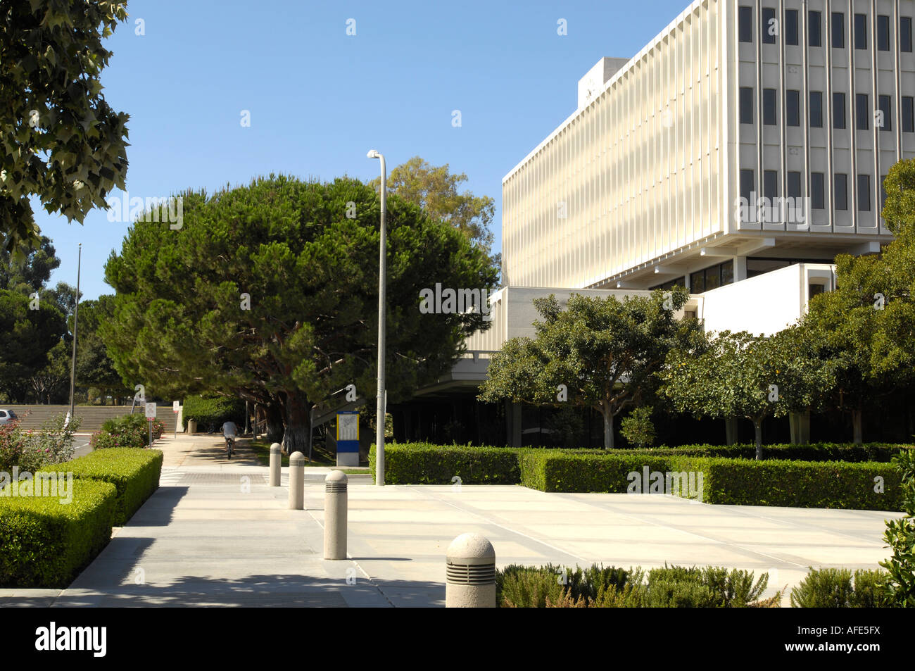 The campus of UCI University of California Irvine Horizontal Stock ...