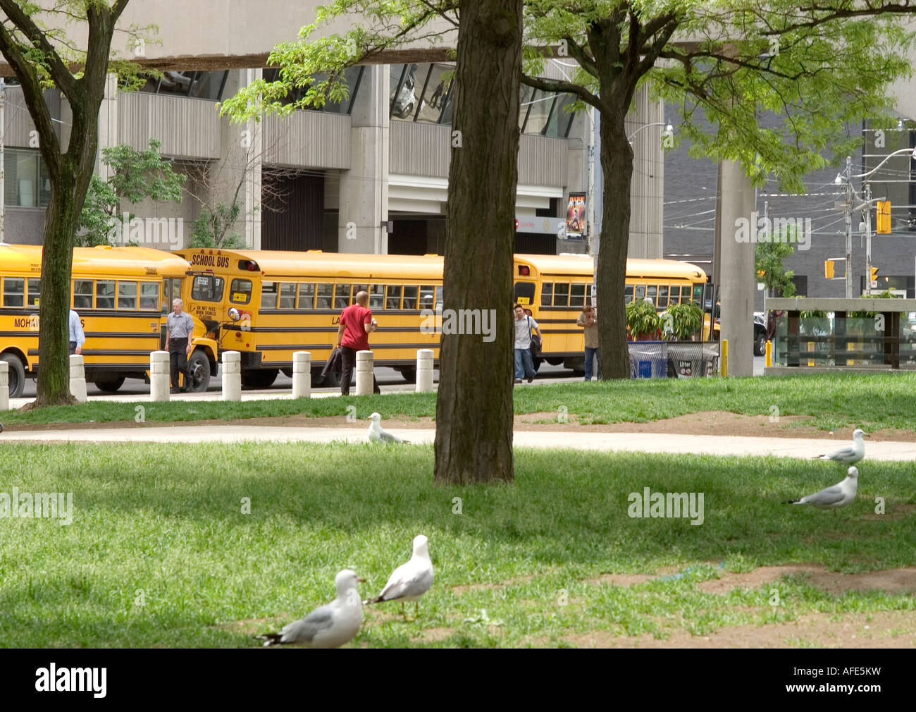 Toronto School buses Stock Photo - Alamy