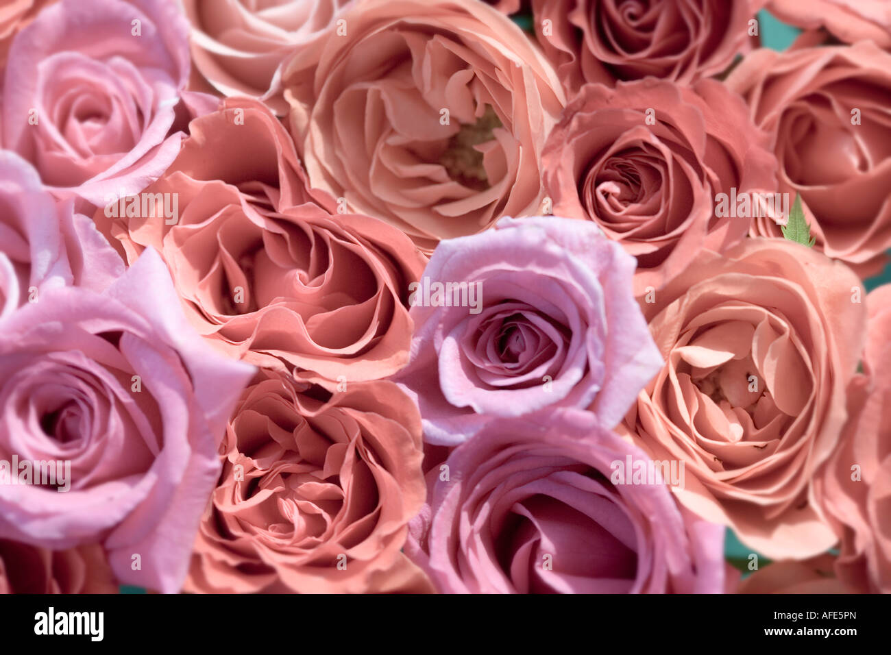 Flower bouquet hi-res stock photography and images - Alamy