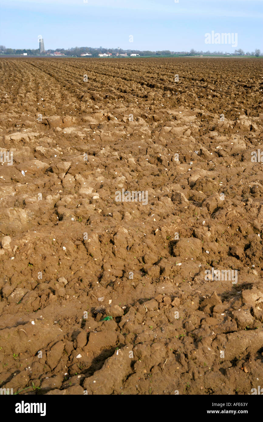 Ploughed Field, Norfolk, UK Stock Photo - Alamy