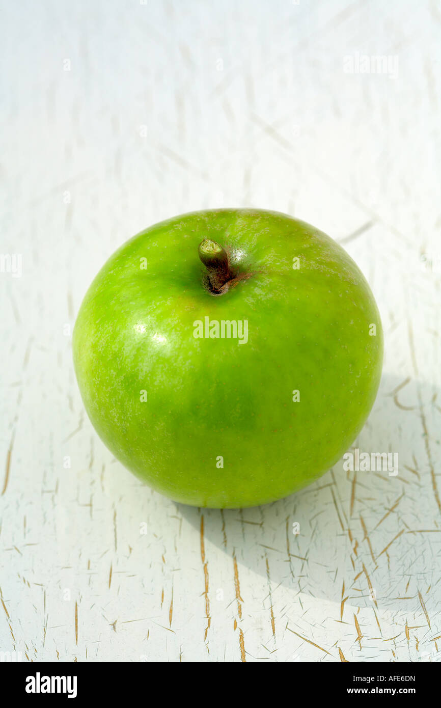 Bramley Green Cooking Apple Malus Domestica Stock Photo - Alamy