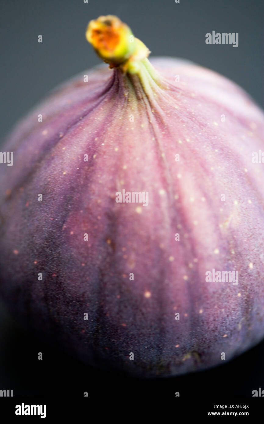 Full fig hi-res stock photography and images - Alamy