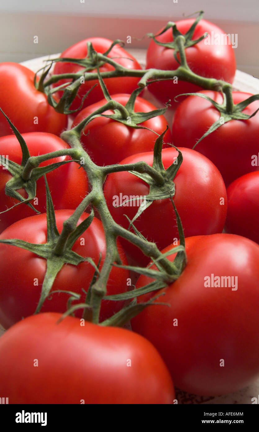 Tomatoes on the vine Stock Photo - Alamy