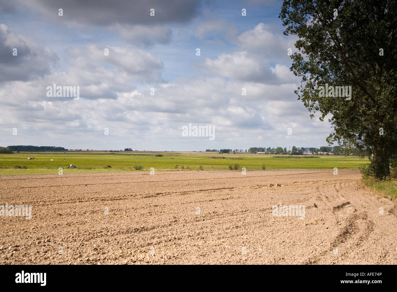 Rural landscape of east Poland Stock Photo - Alamy