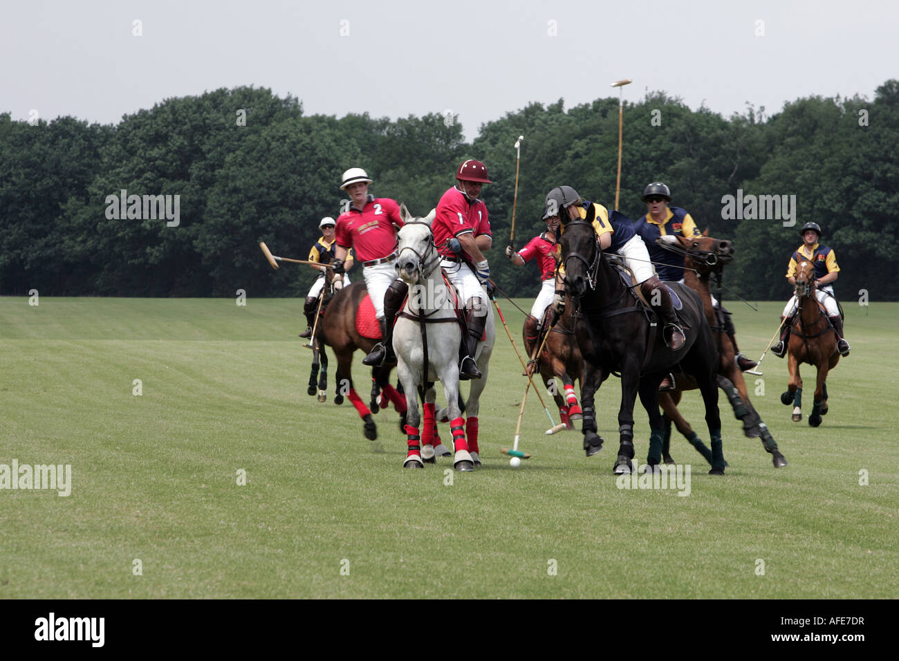 Female polo player in action hi-res stock photography and images - Alamy